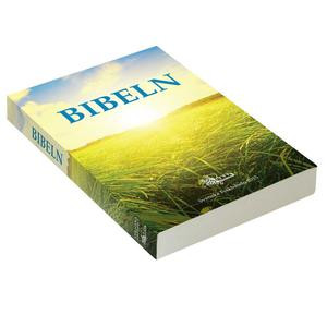 Swedish Bible (Contemporary) Paperback » Multi-Language Media