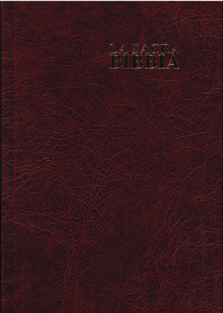 Italian Bible Large Print Hardcover » Multi-Language Media