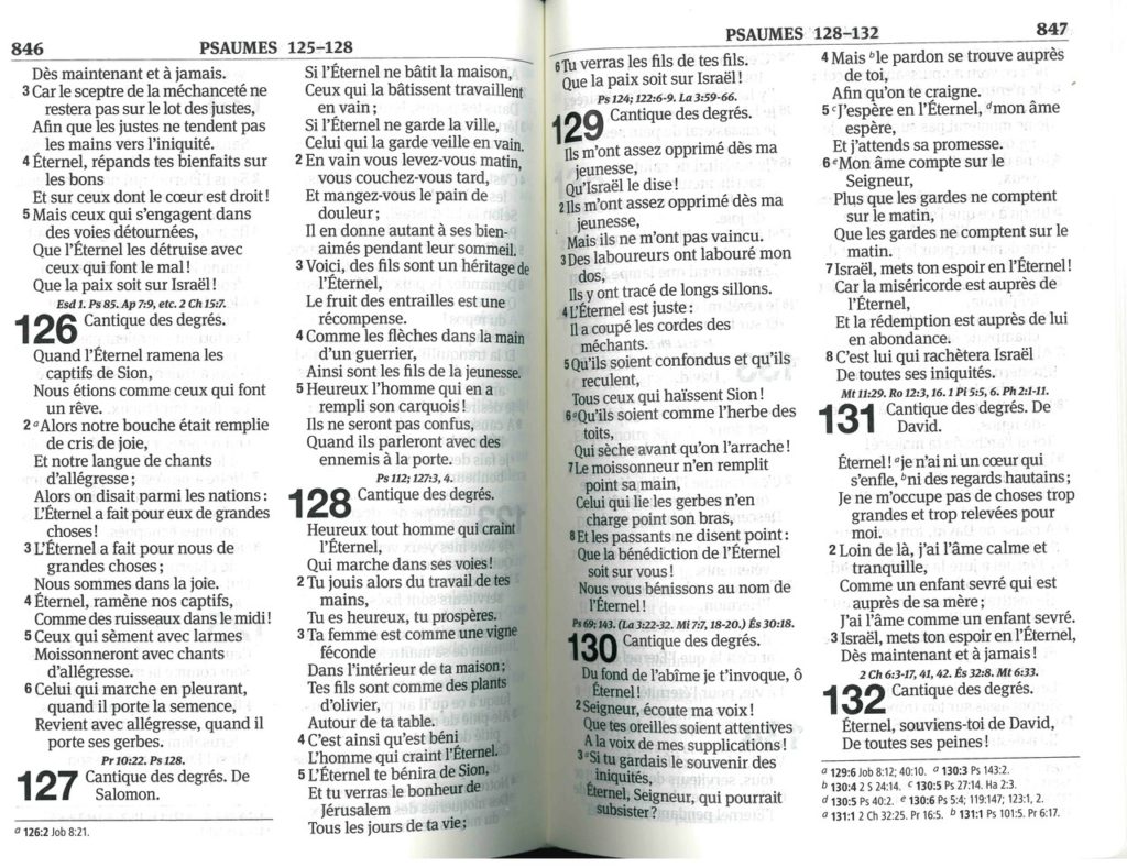 French Bible Large Print Grey » Multi-Language Media
