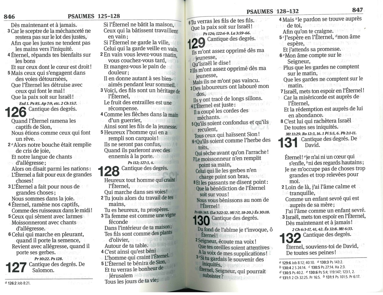 French Bible Large Print Grey » Multi-Language Media